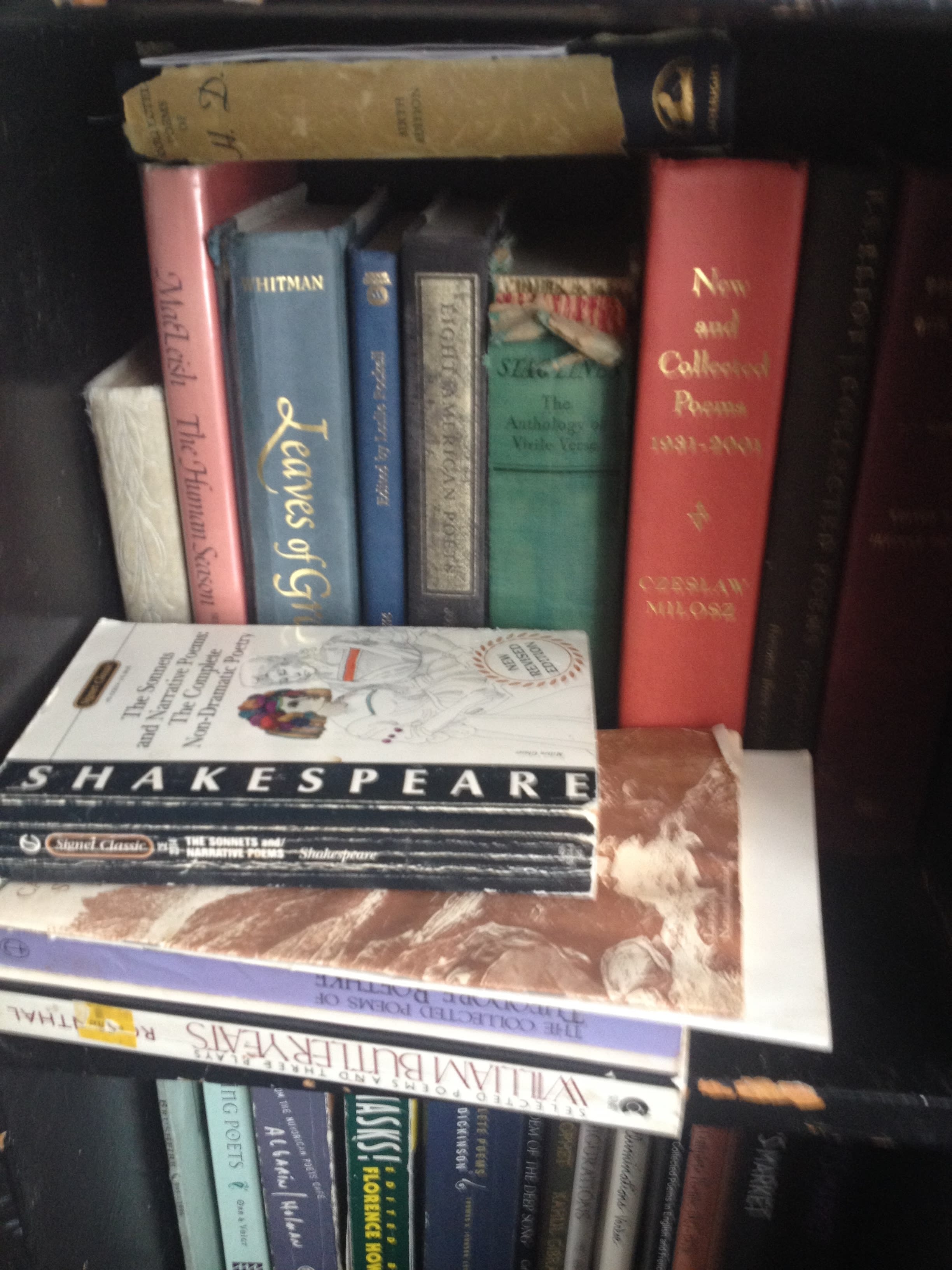 The Courtier Poets: Sir Thomas Wyatt - Owlcation