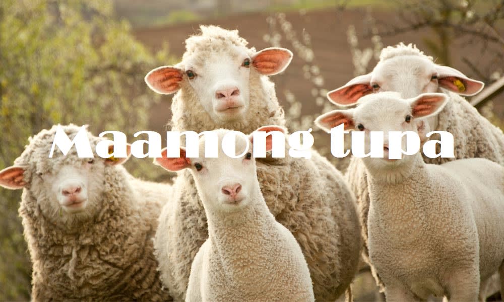 Filipino Idioms: 30 Examples of Tagalog Idiomatic Expressions - Owlcation