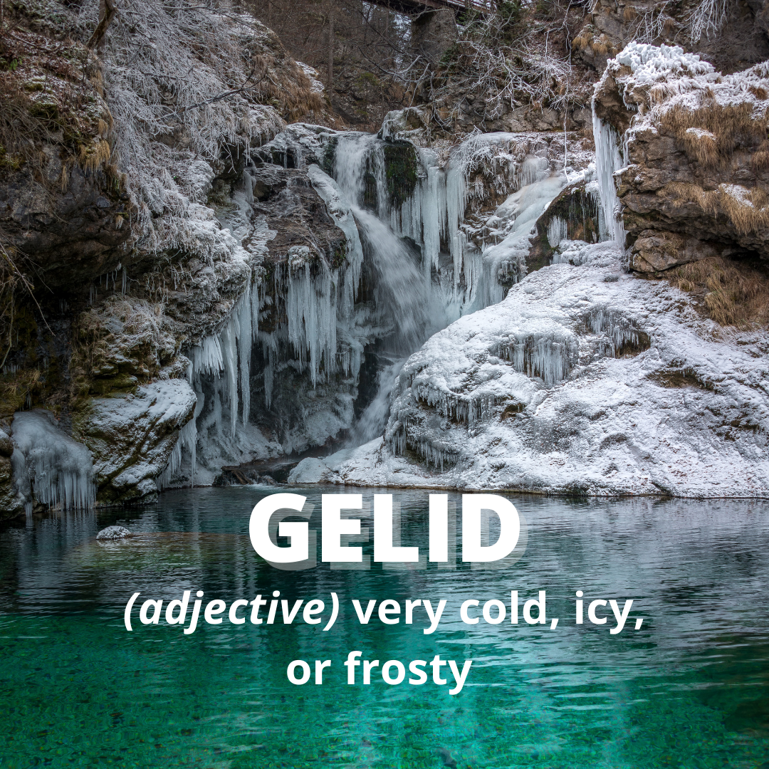 60+ Amazing Words You've Never Heard Of - Owlcation