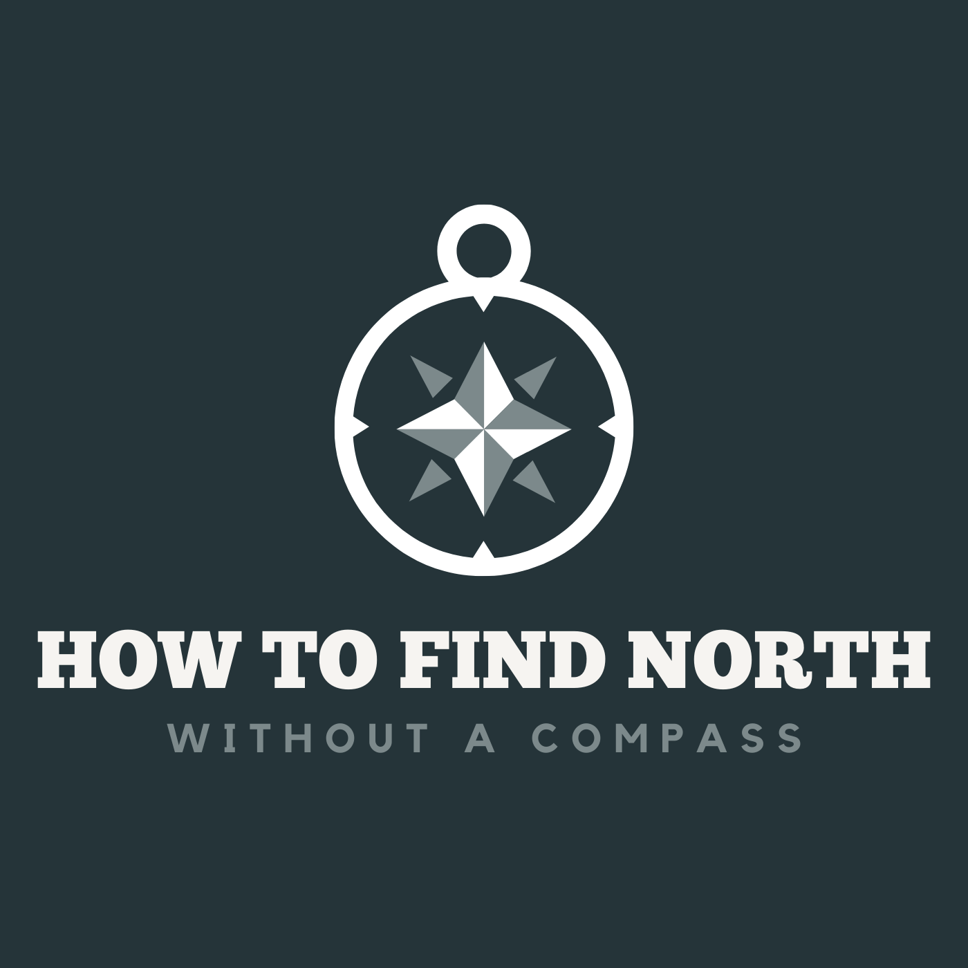 Where Is North? 5 Ways to Find North (or South) Without a Compass ...