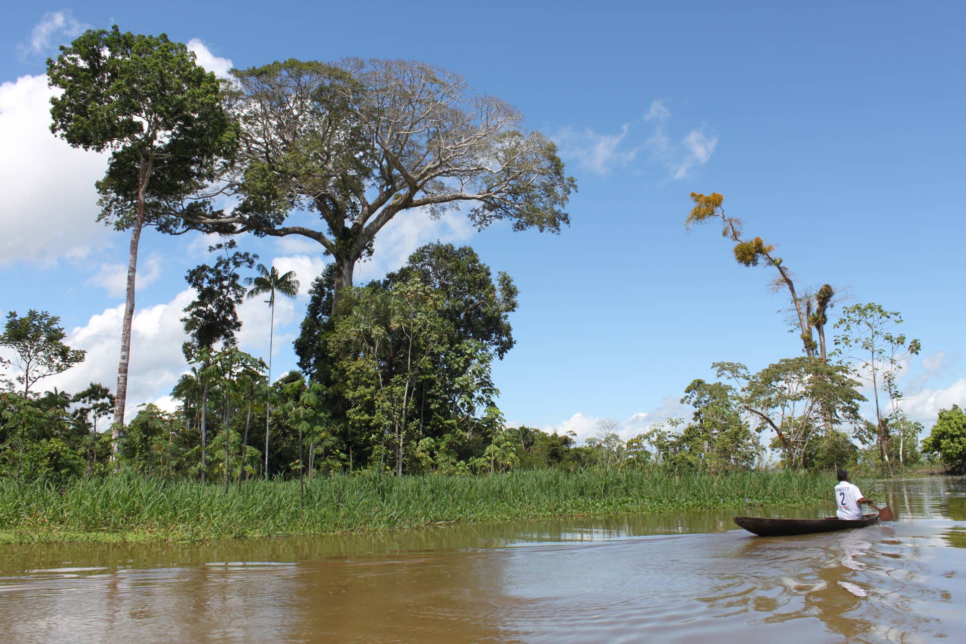 Physical Features and Natural Resources of Colombia - Owlcation
