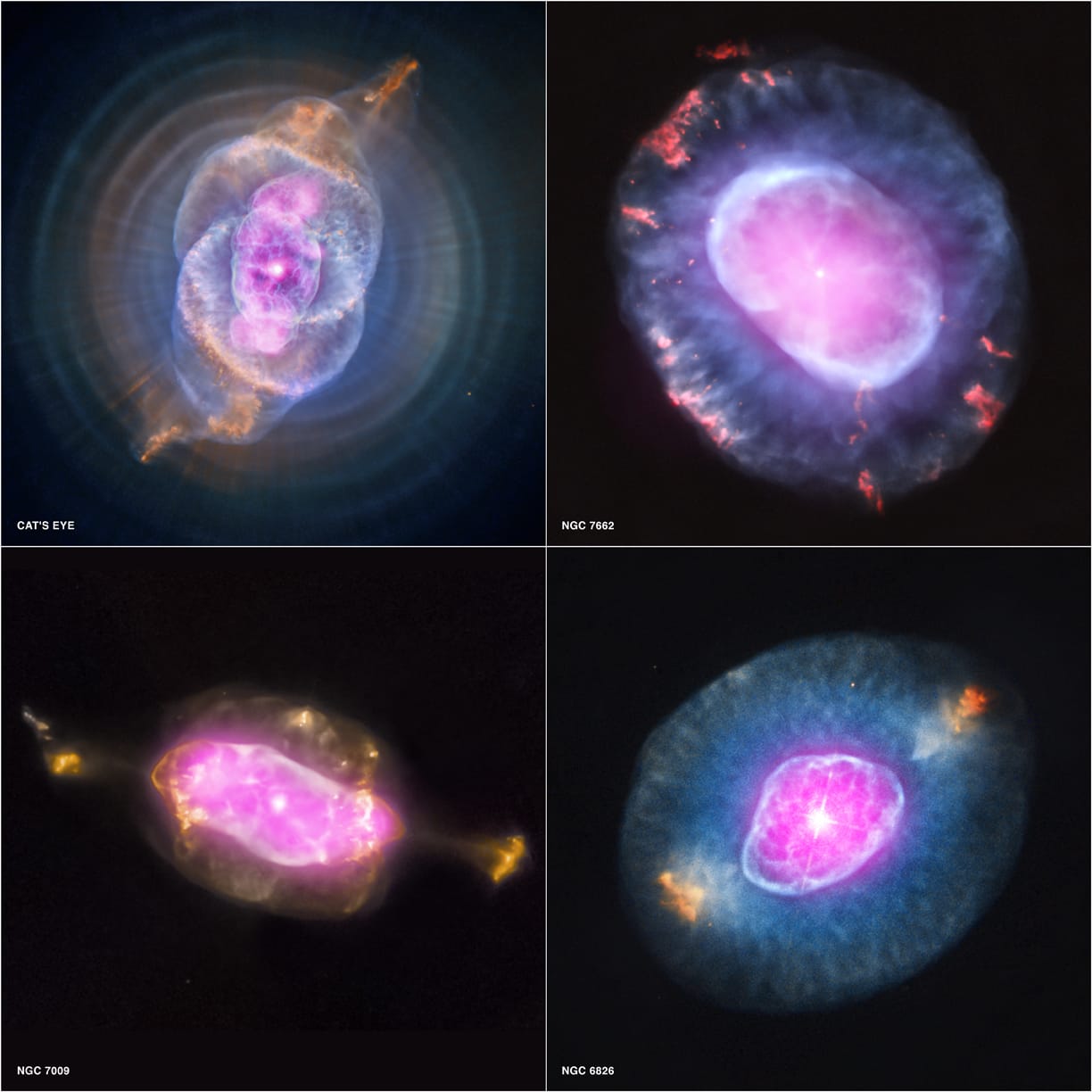 The Beauty of Nebulae: A Guide to Their Existence - Owlcation