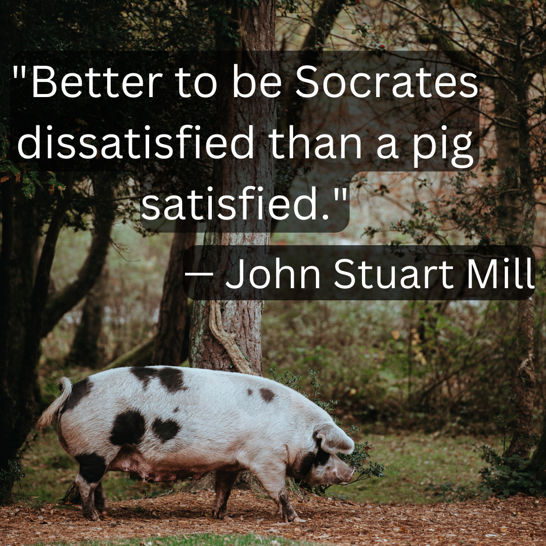 John Stuart Mill: Main Ideas - Owlcation
