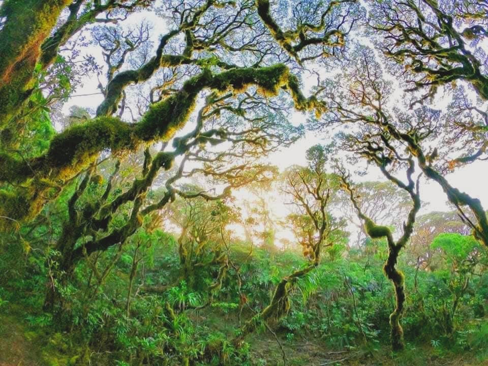 A Controversial Love Affair of Two Male Deities in Filipino Myth ...