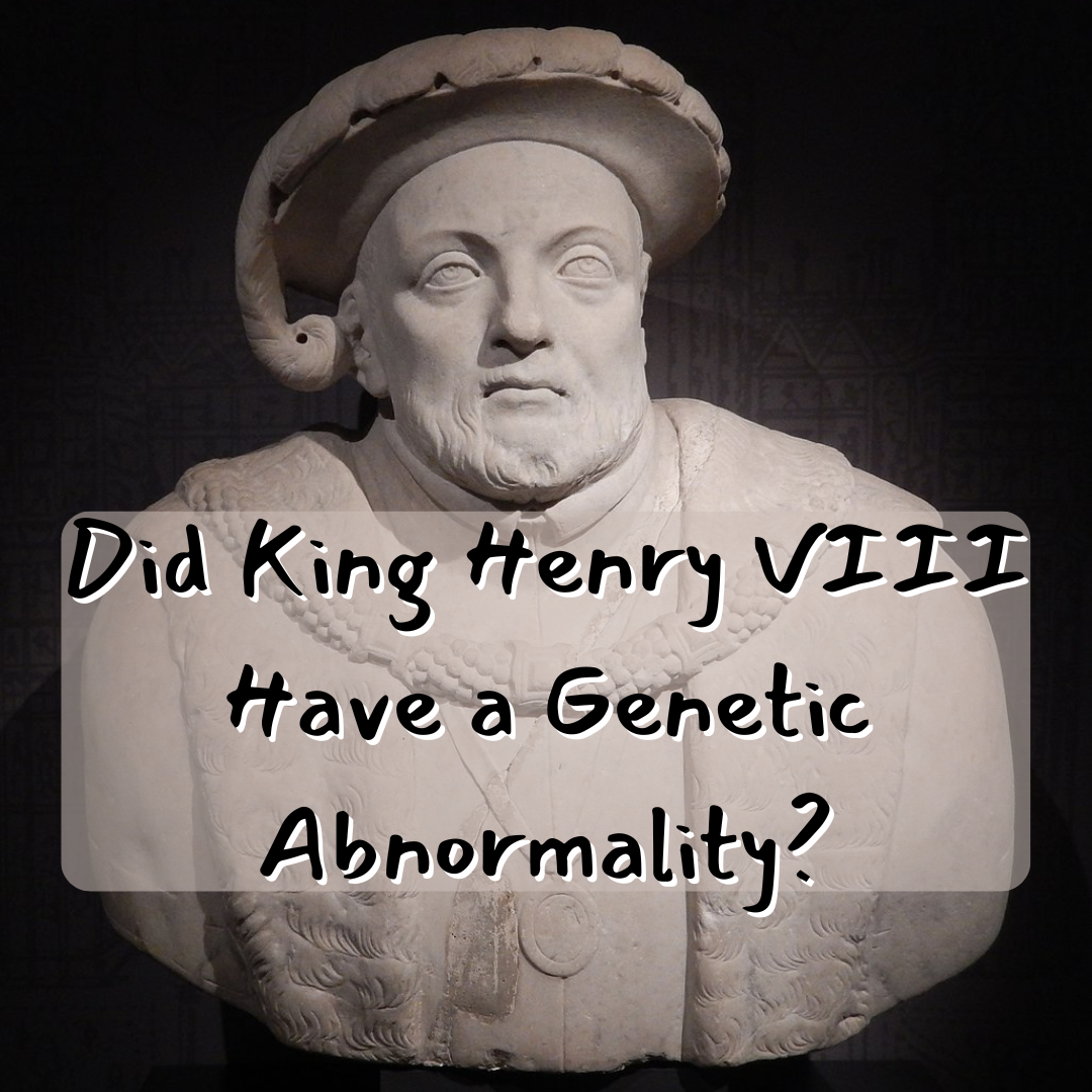 Did King Henry VIII Have a Genetic Abnormality? - Owlcation