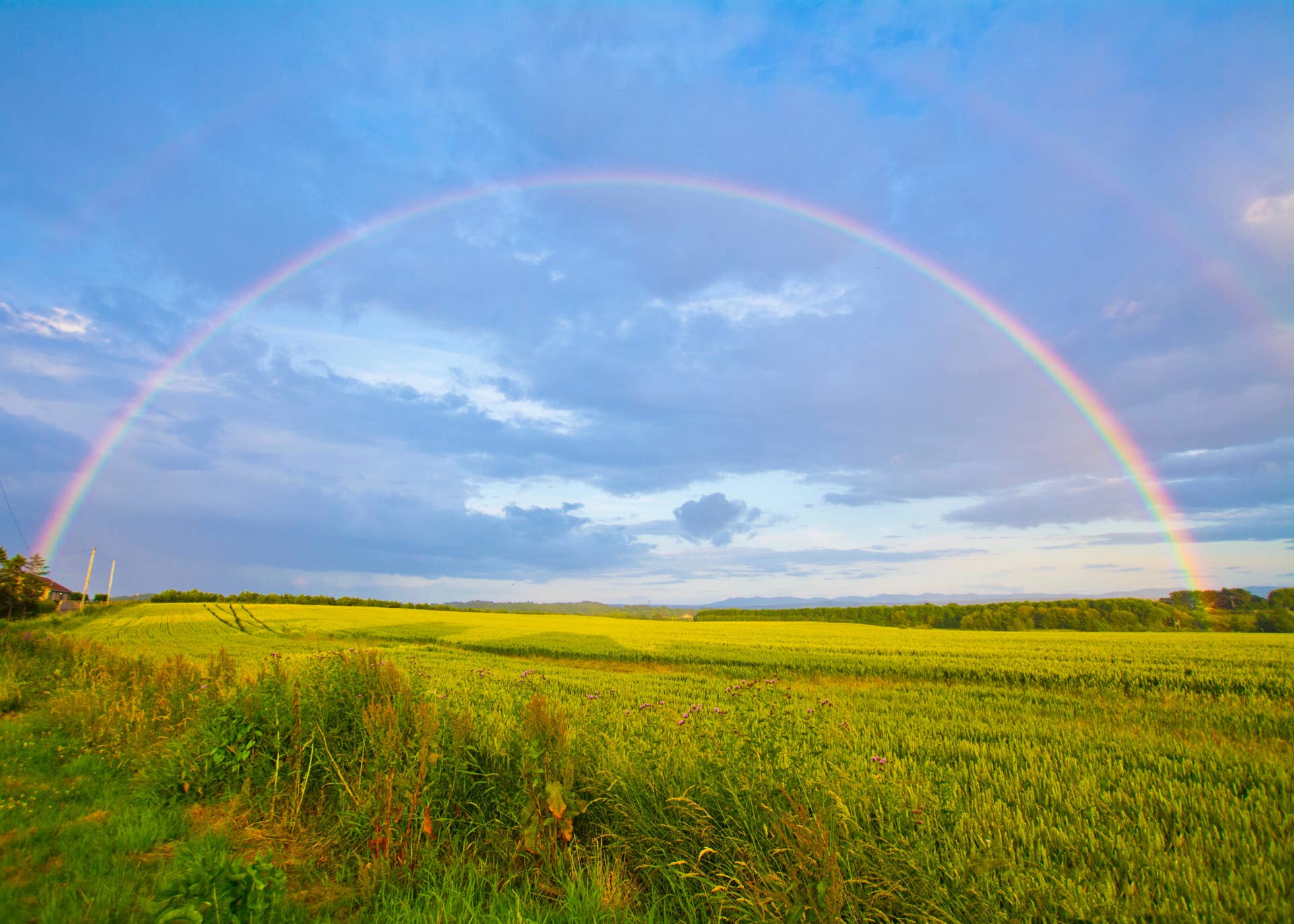 How to Remember a Rainbow's Colors in Order - Owlcation