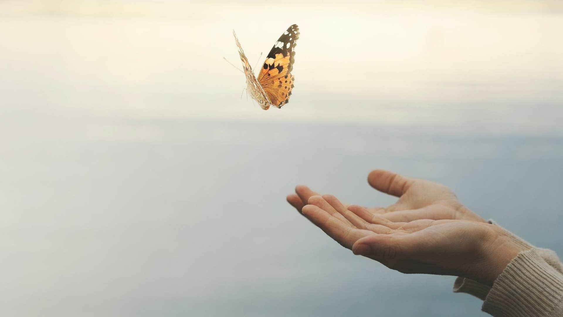 The Philosophical Debate of Free Will - Owlcation