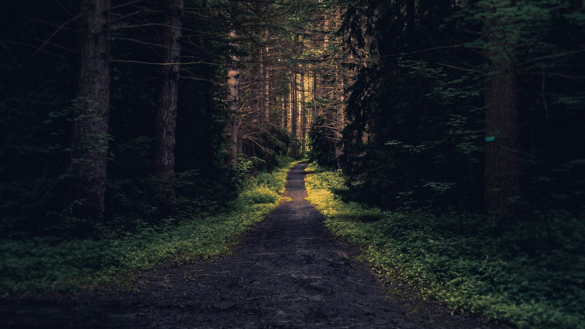 "Into My Own" by Robert Frost: Analysis - Owlcation