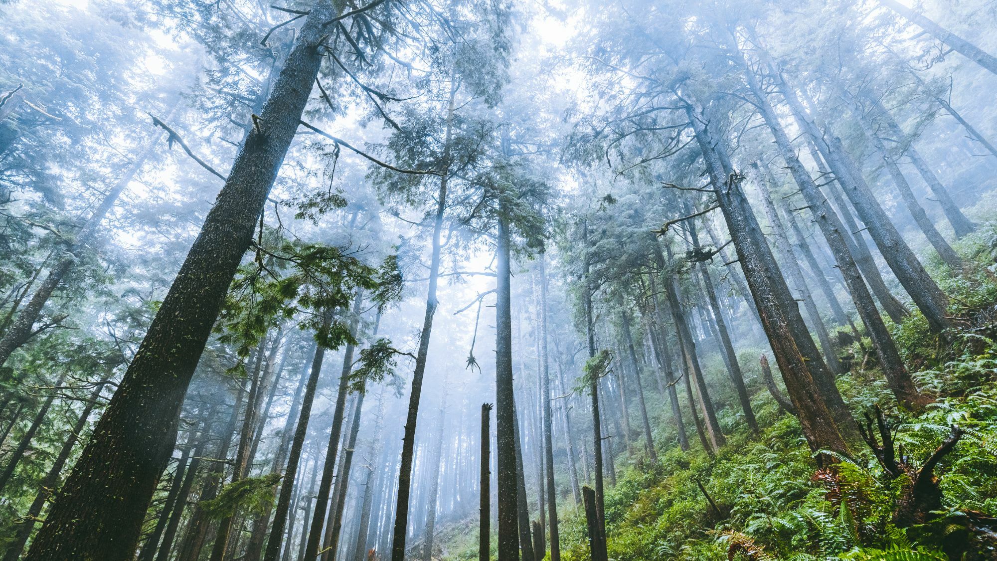 State of Nature: Hobbes vs. Locke - Owlcation