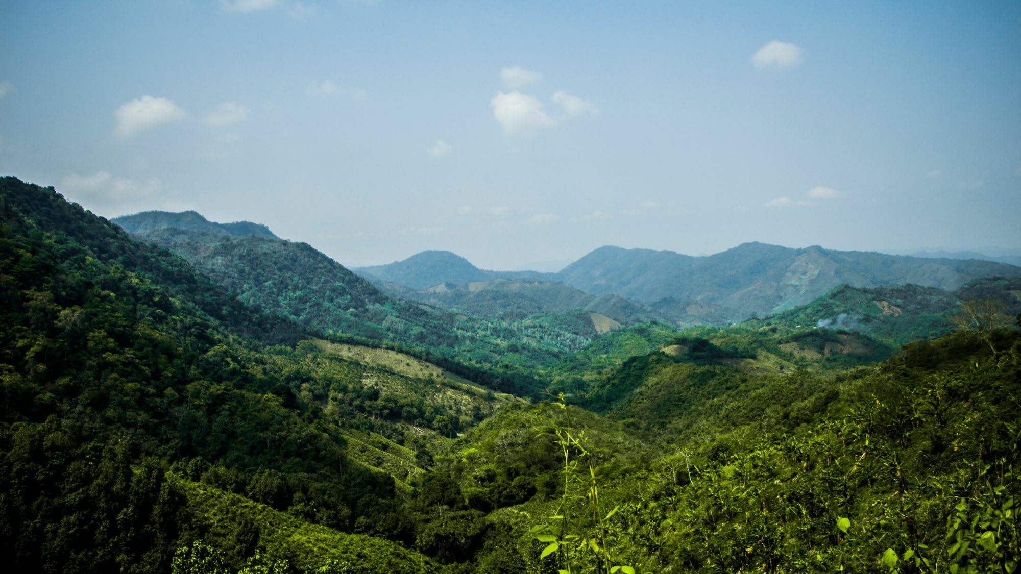 The 4 Major Environmental Issues and Concerns of the EPA - Owlcation