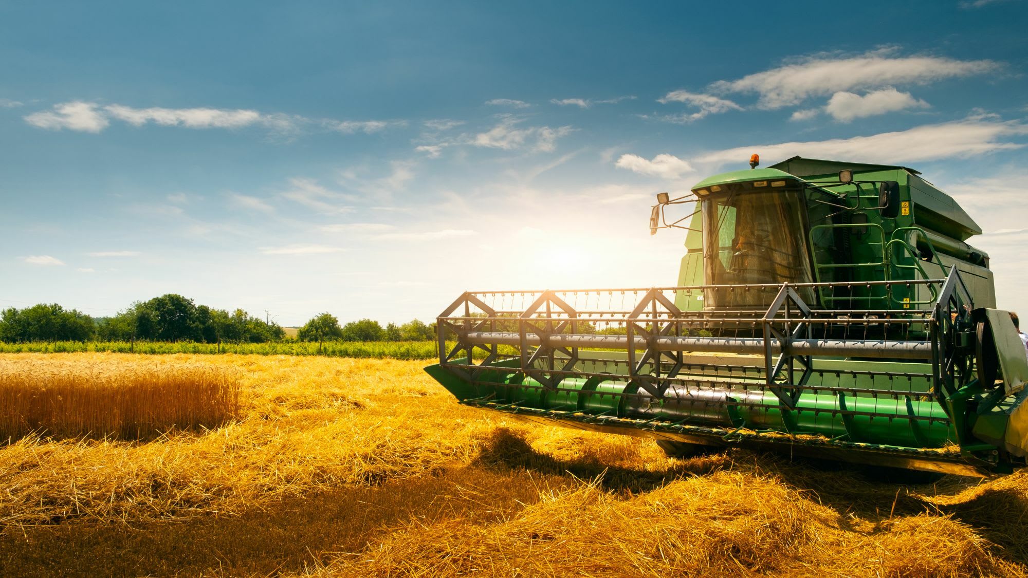 A Comprehensive Guide to Crop Identification - Owlcation