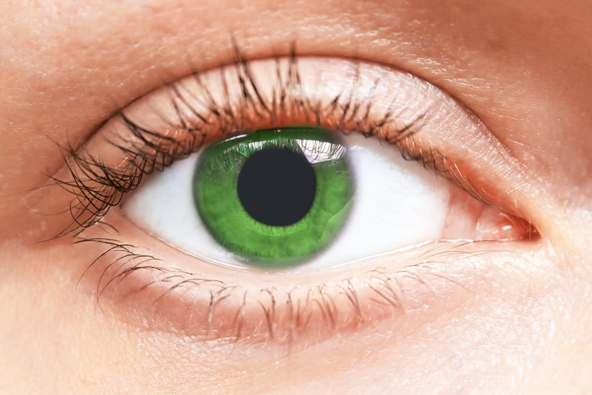 What's the Difference Between Green and Hazel Eyes? - Owlcation